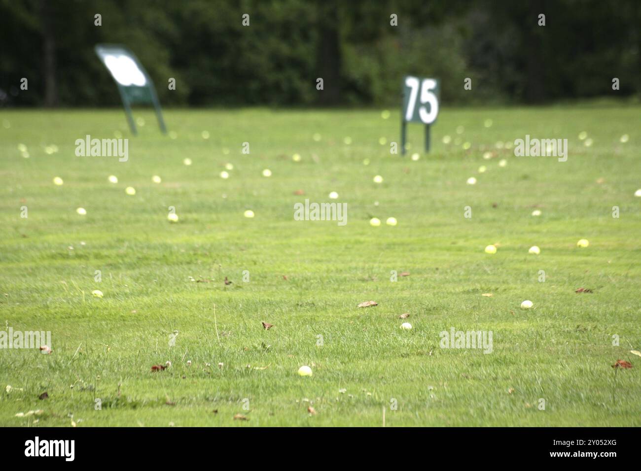 Golf driving range distance hi-res stock photography and images - Alamy