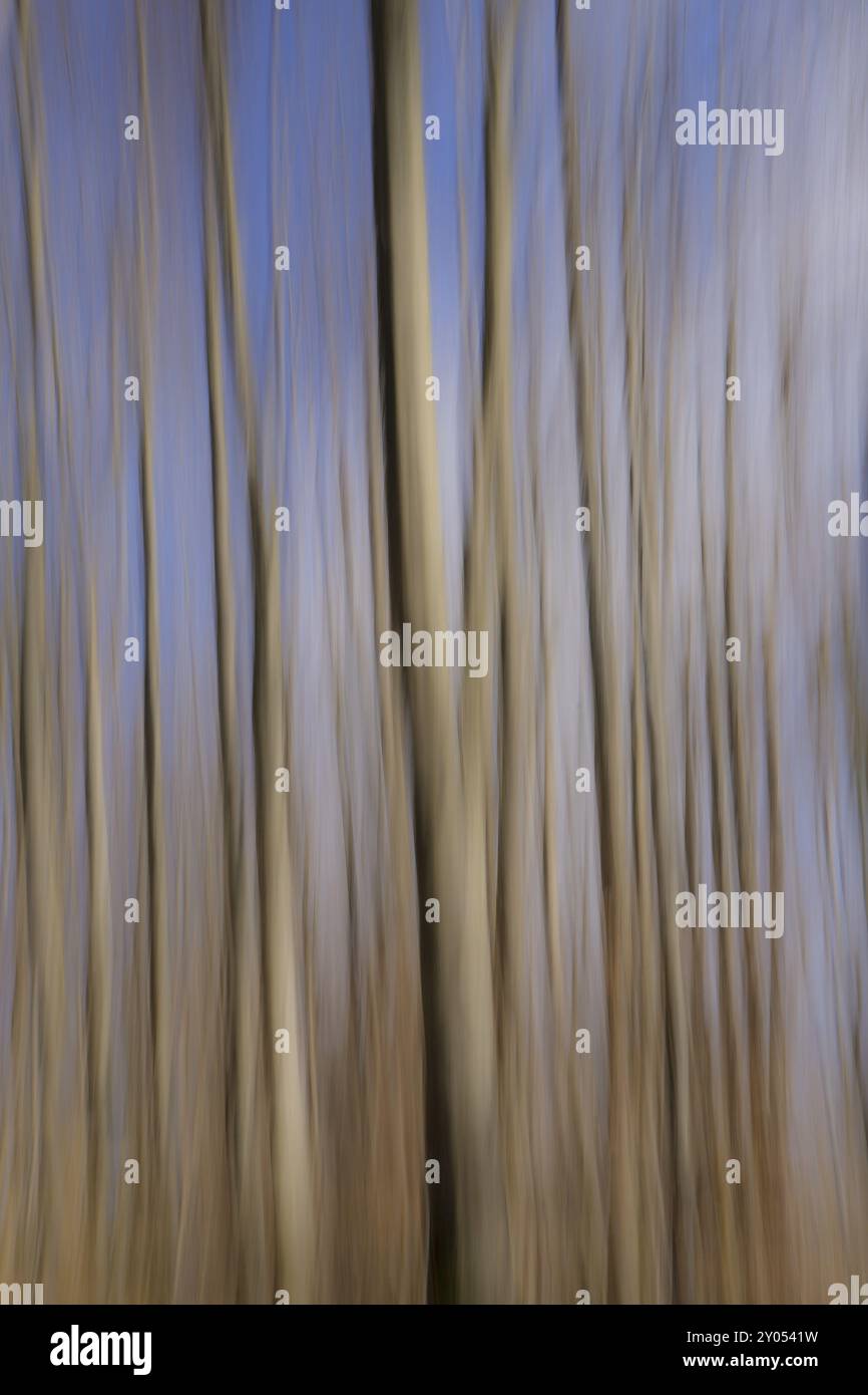 Wipe technique hi-res stock photography and images - Alamy