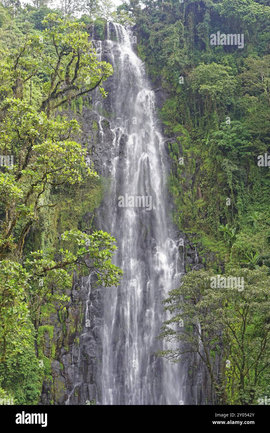 Big natural hi-res stock photography and images - Alamy
