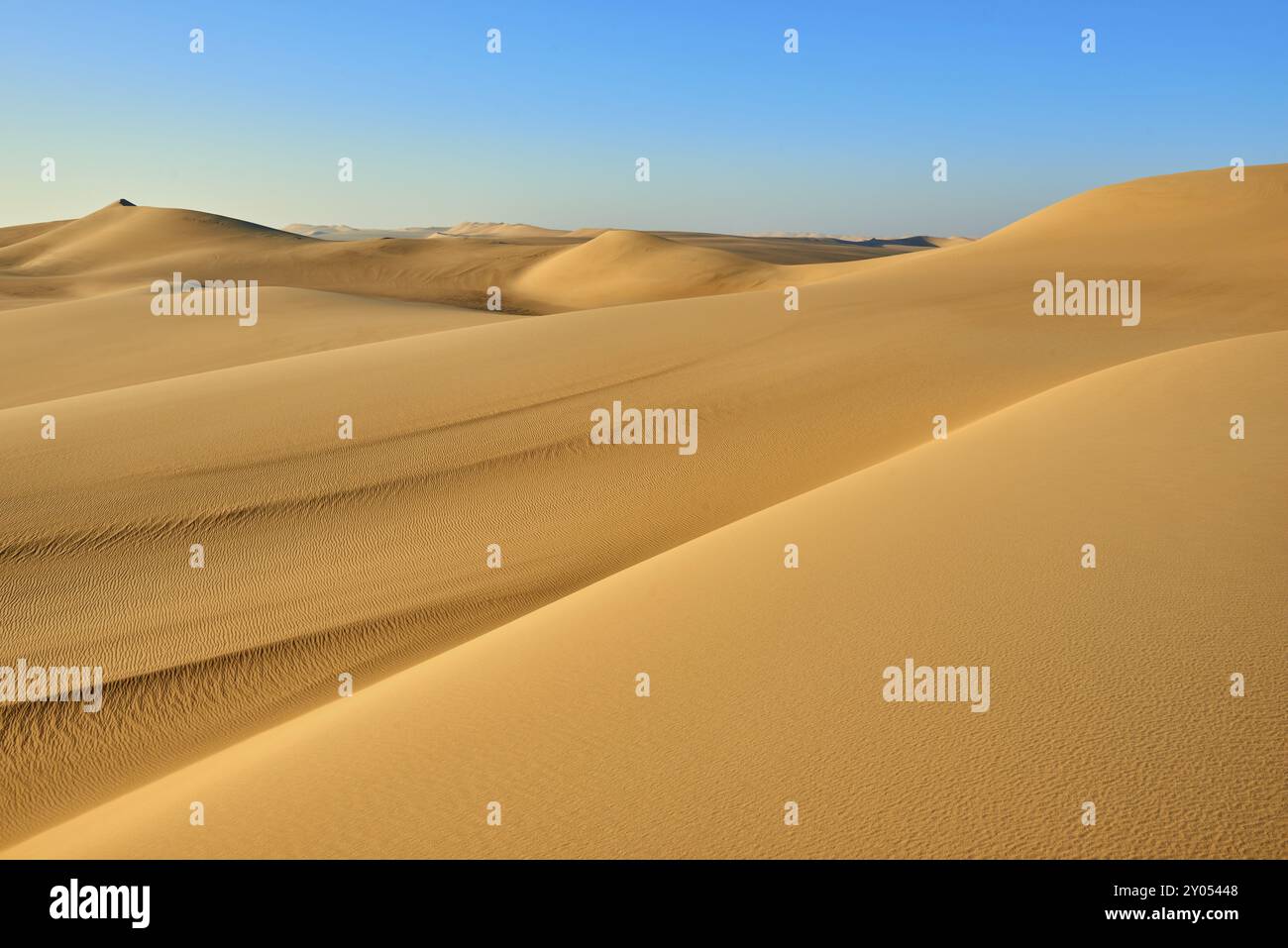 Pristine sand dunes stretch out under a clear blue sky, Matruh, Great ...