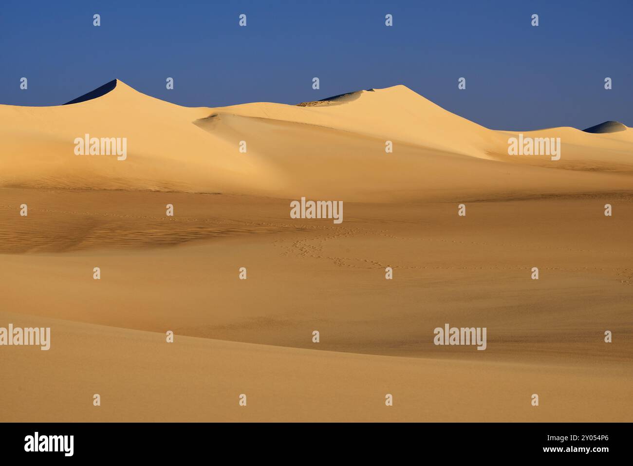 Golden sand dunes under a clear blue sky radiate peace and sun in an ...