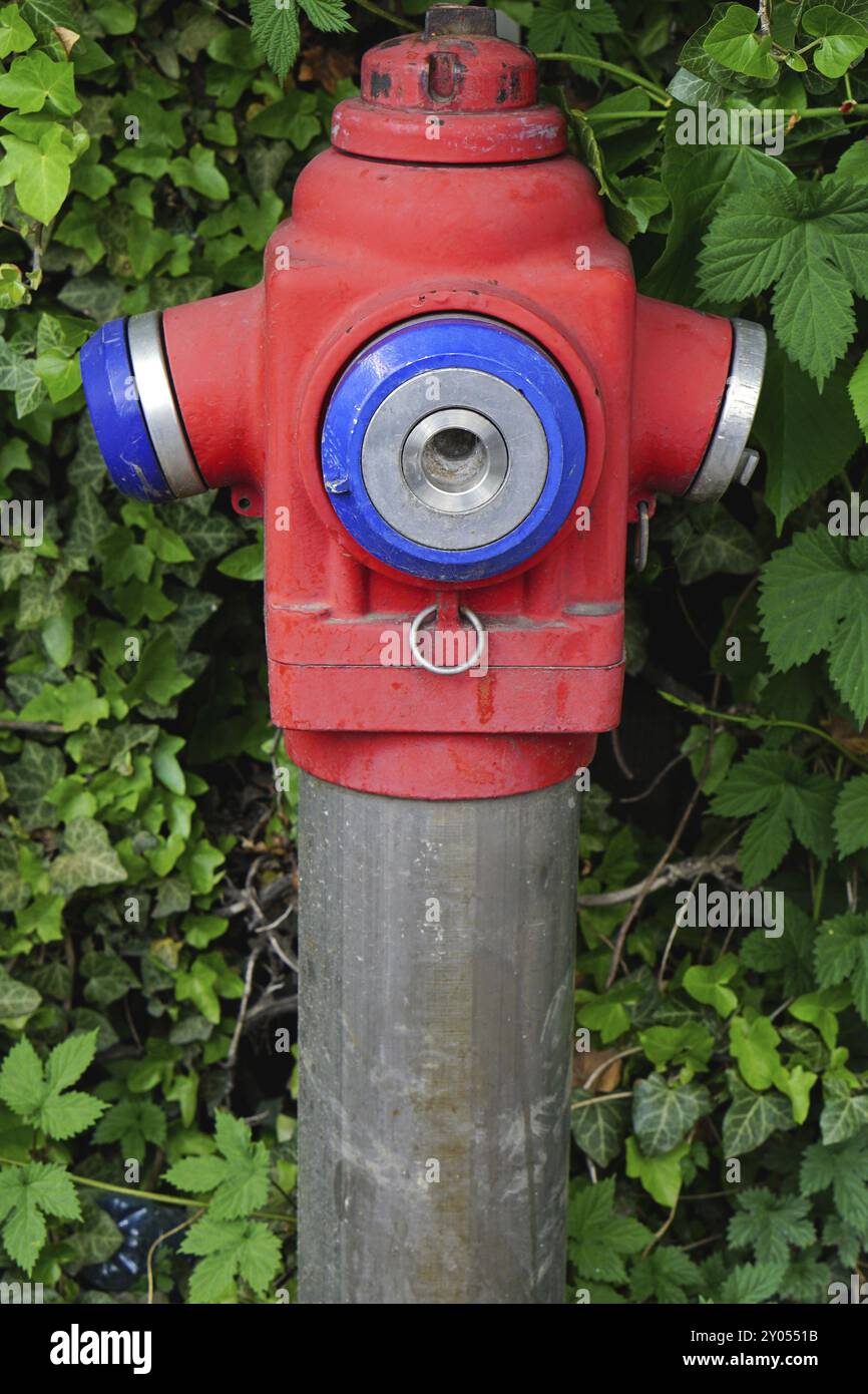 Water hydrant pipe overgrown with weeds Stock Photo - Alamy
