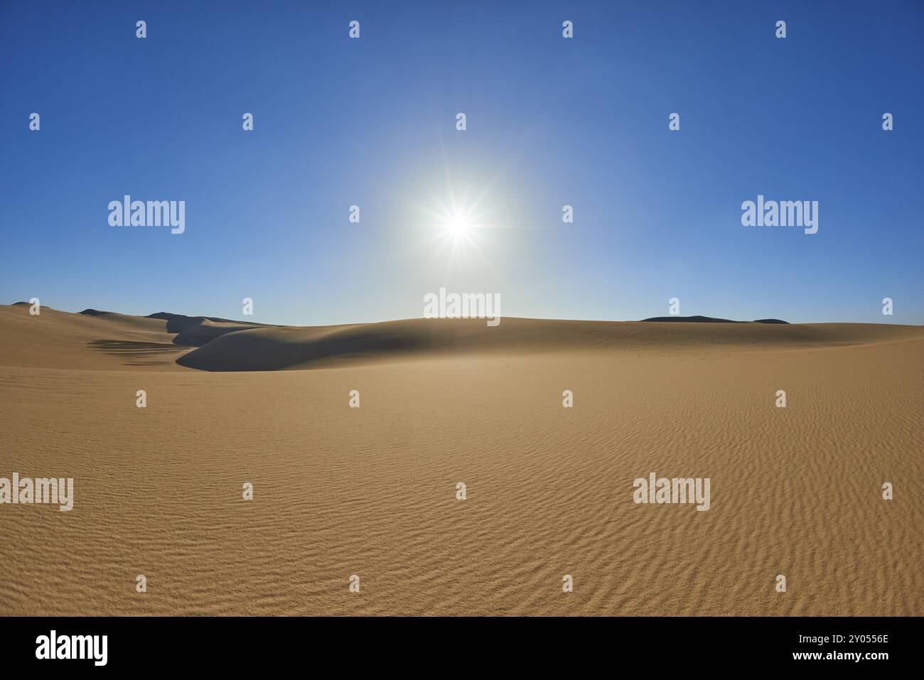 The endless expanse of a desert with golden sand dunes under a bright ...
