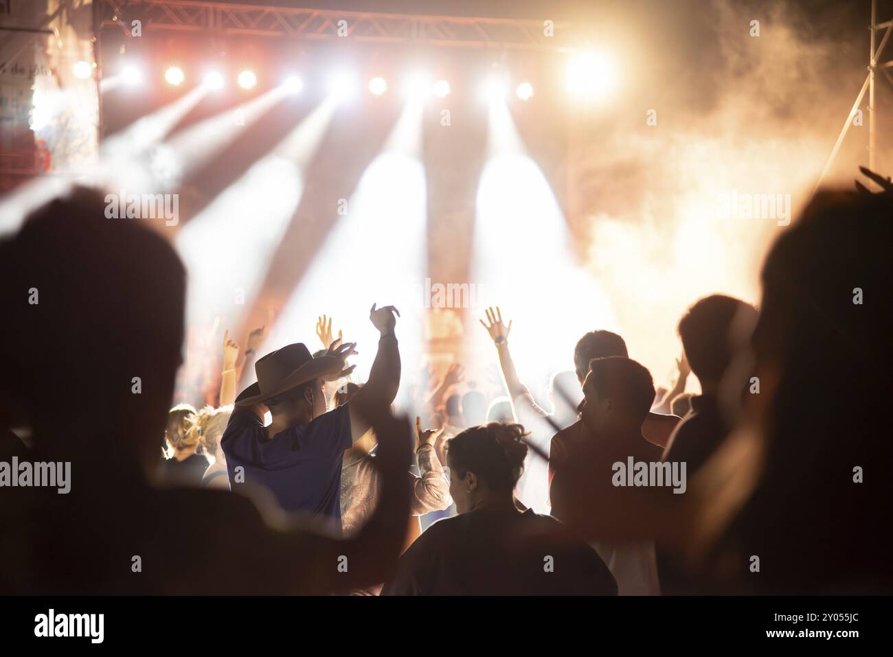 A vibrant concert scene with people dancing and enjoying live music ...