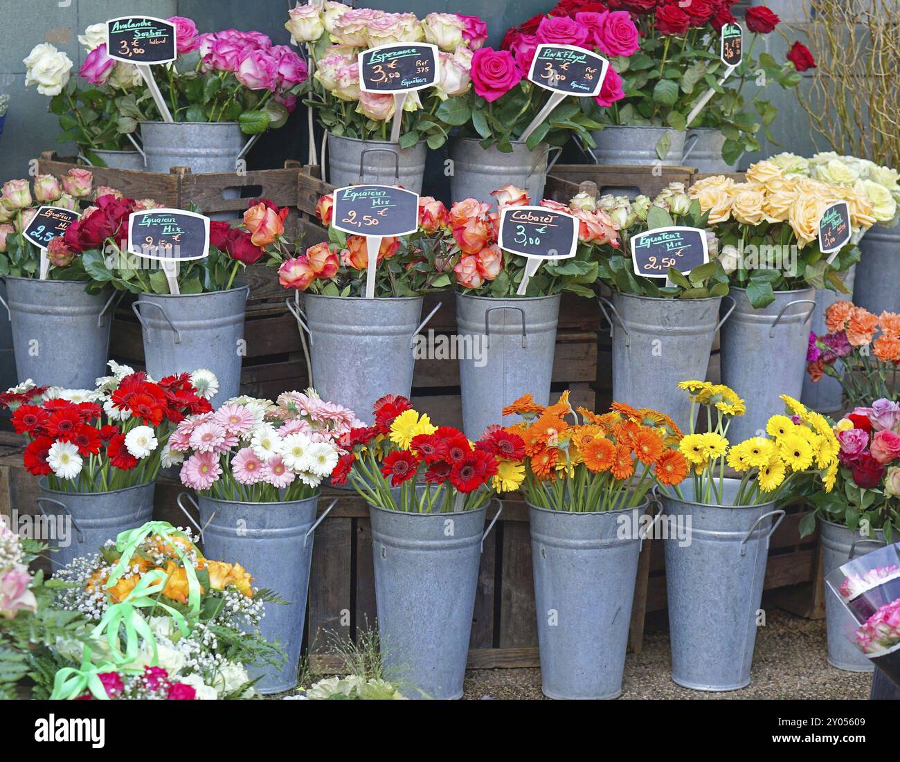 Bouquet roses in pots hi-res stock photography and images - Alamy