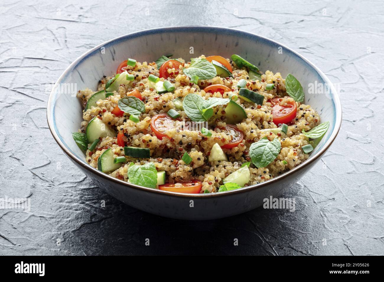 Agathophytum hi-res stock photography and images - Alamy