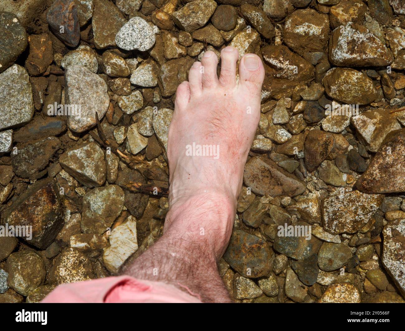 Cryotherapy, putting your feet in cold water. feet immersed in the ...