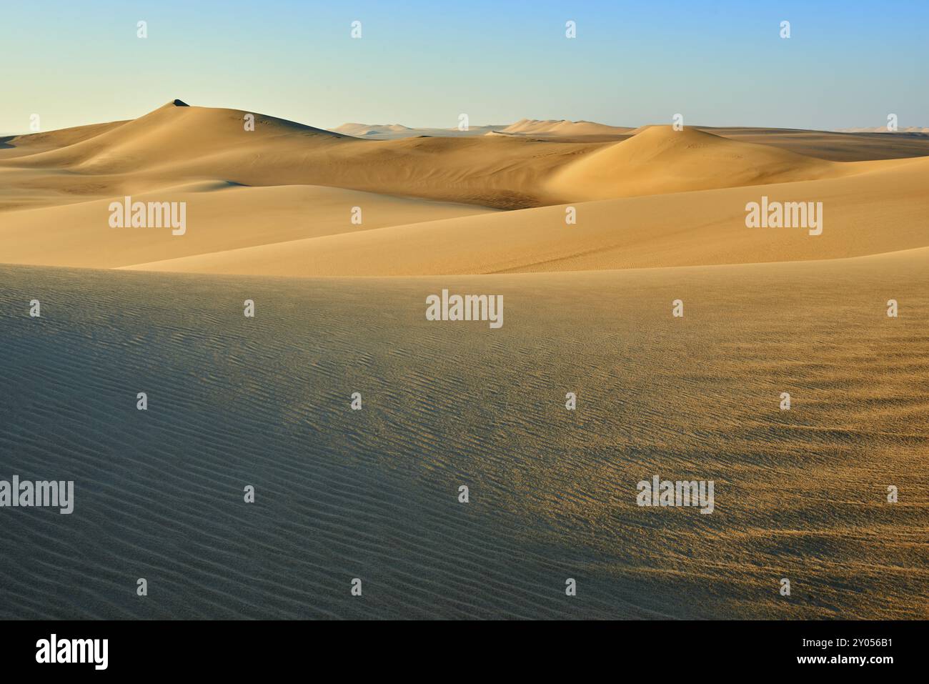 Endless sand dunes in a desert under a clear blue sky, Matruh, Great ...