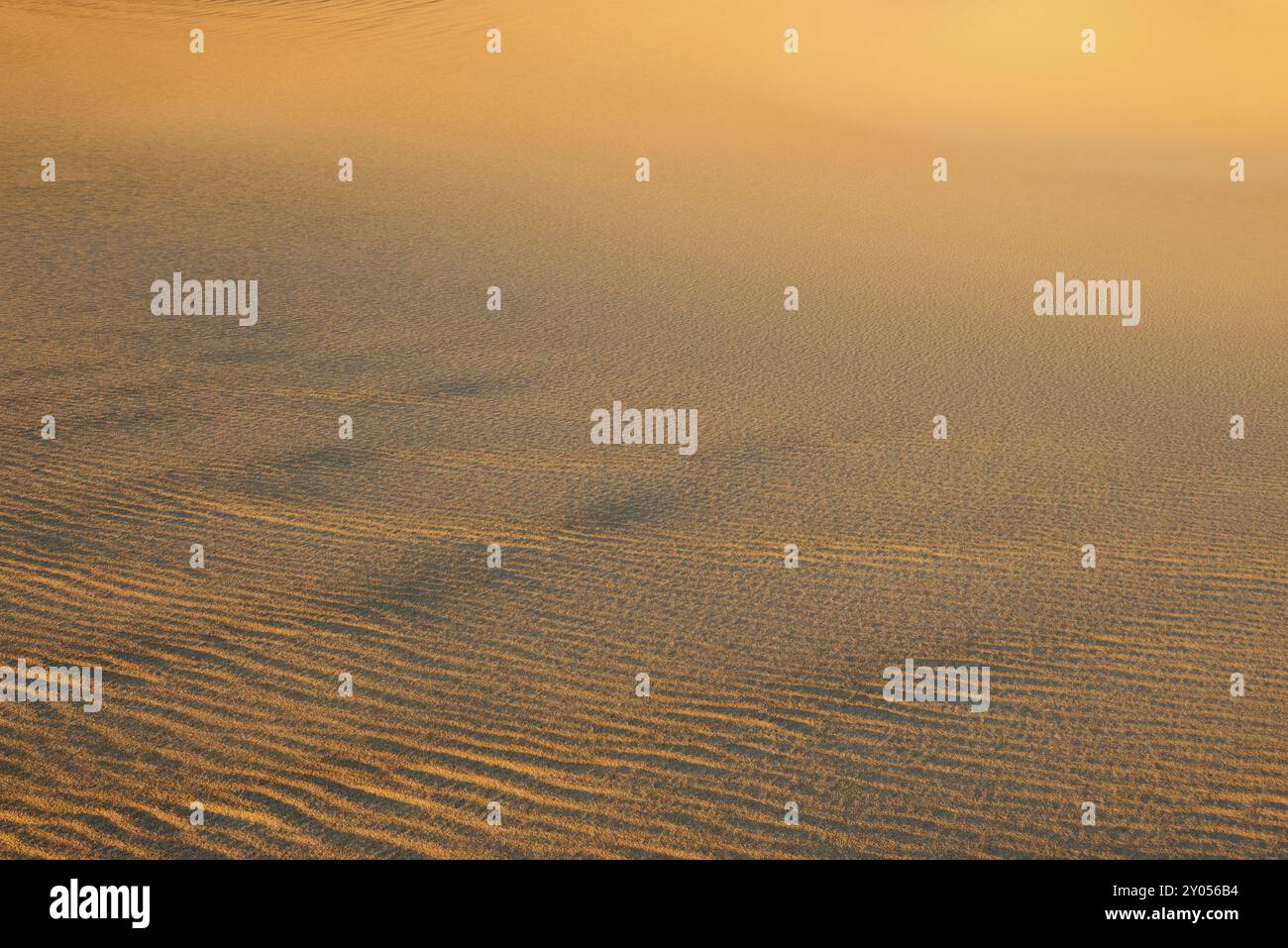 Sand dunes under a golden sunset showing fine undulating textures ...