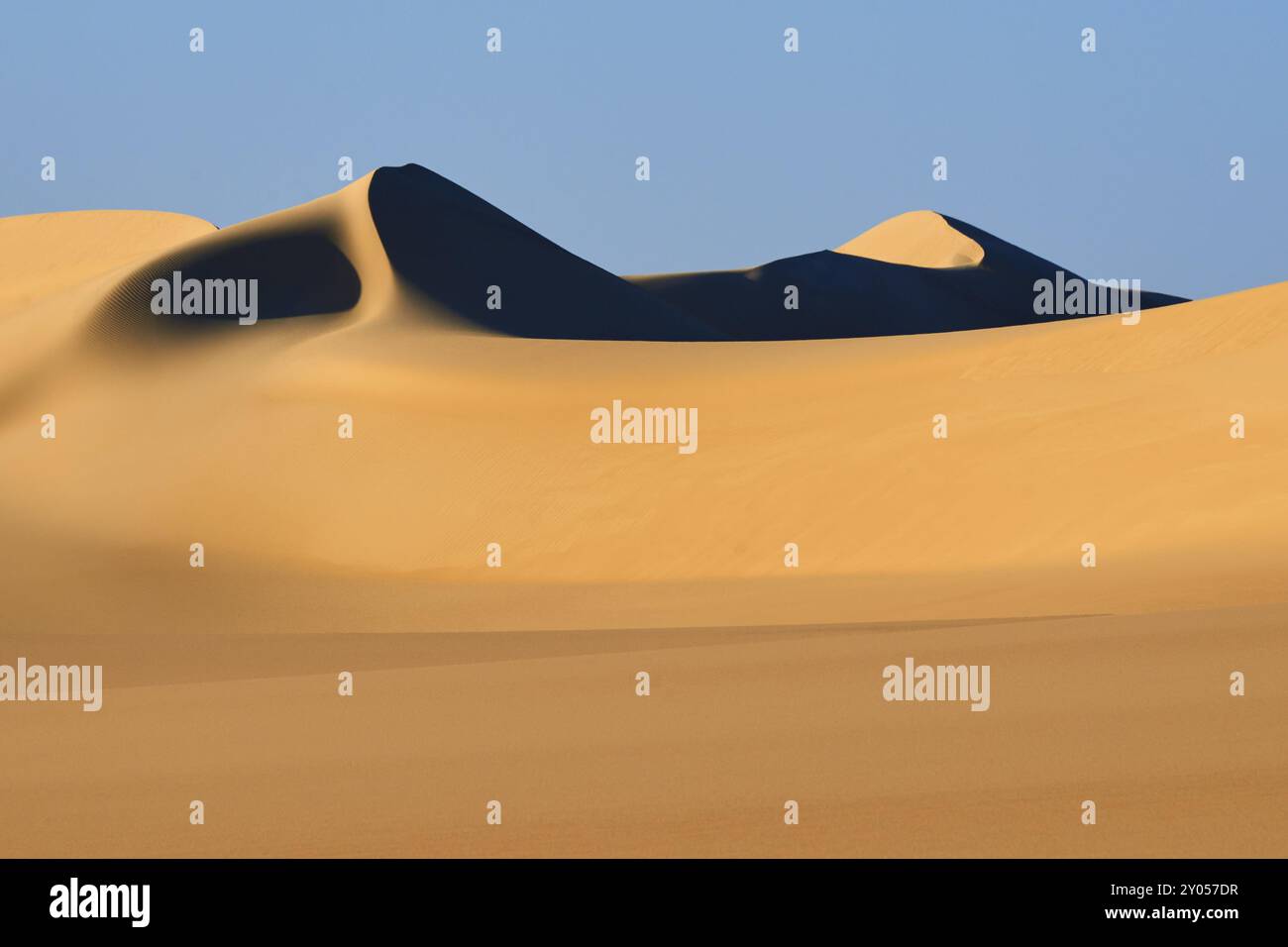 Soft, curved sand dunes cast deep shadows in the golden desert ...