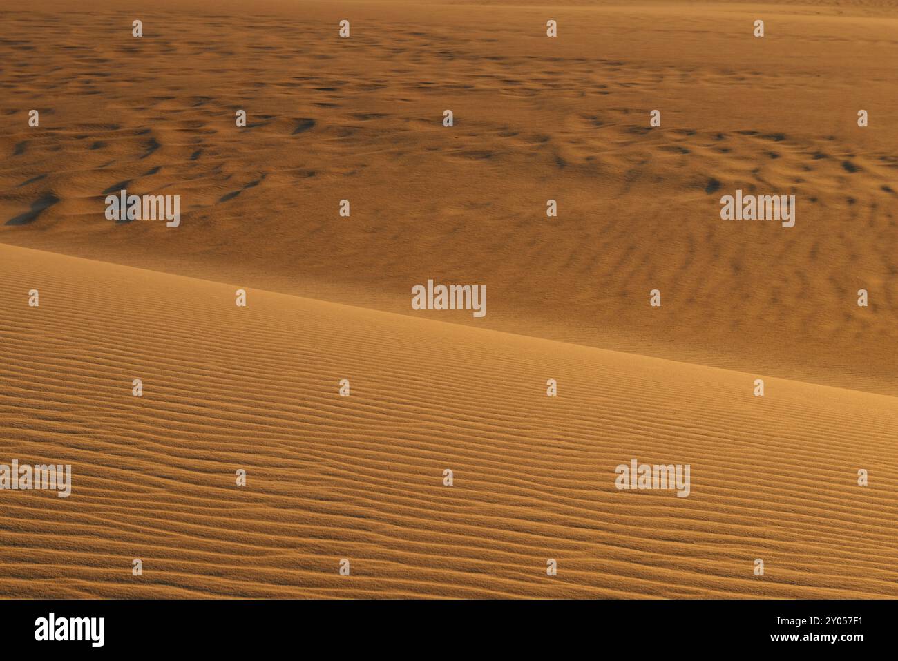 Close-up of a sand dune illuminated by sunlight with wave patterns in ...