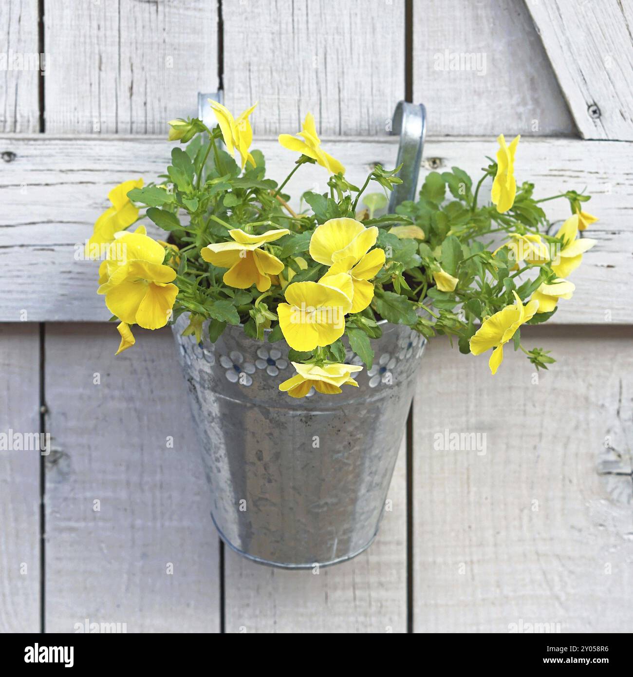 Hanging flower buckets hi-res stock photography and images - Alamy