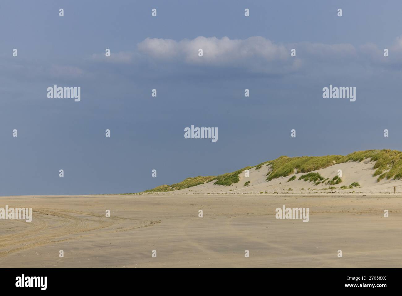 Dunes and sandy beach, North Sea, Ameland Island, Friesland ...