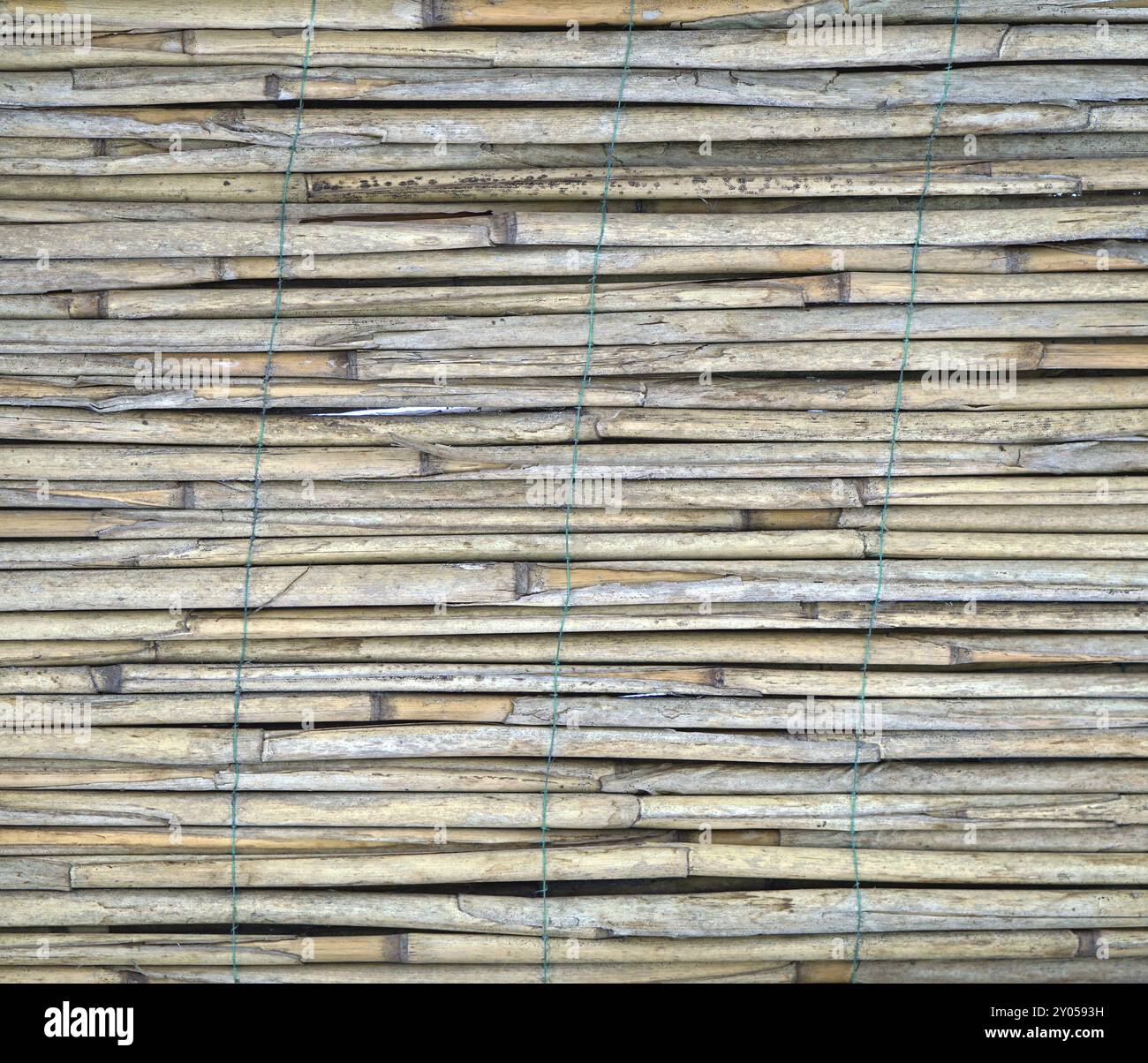 Reed textures hi-res stock photography and images - Alamy