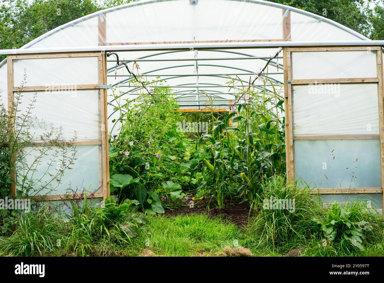 Overcrowded home uk hi-res stock photography and images - Alamy