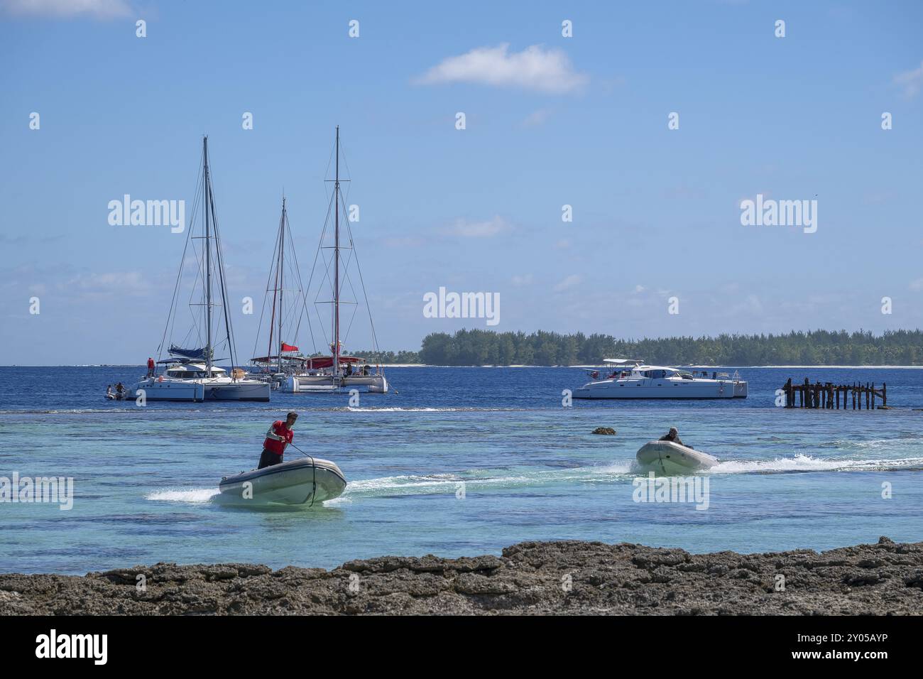 Tourists visiting bird island, private island, bird island, privileged ...