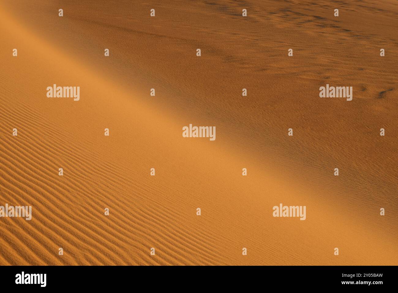 Sand dunes under a golden sunset showing fine undulating textures ...