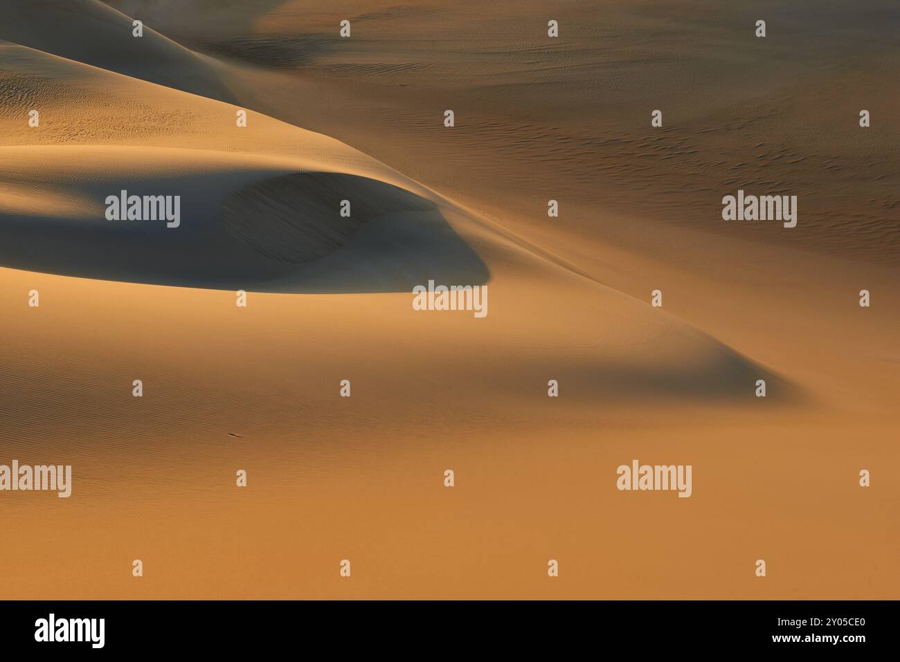 Wavy dunes in golden colours that radiate tranquillity and minimalism ...