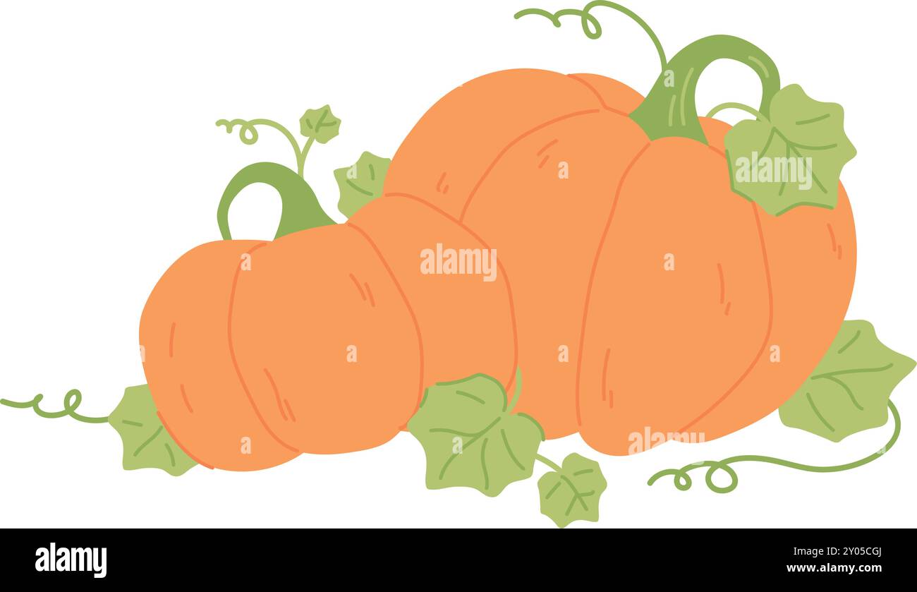 Growing pumpkin color icon. Autumn season vegetable isolated on white ...