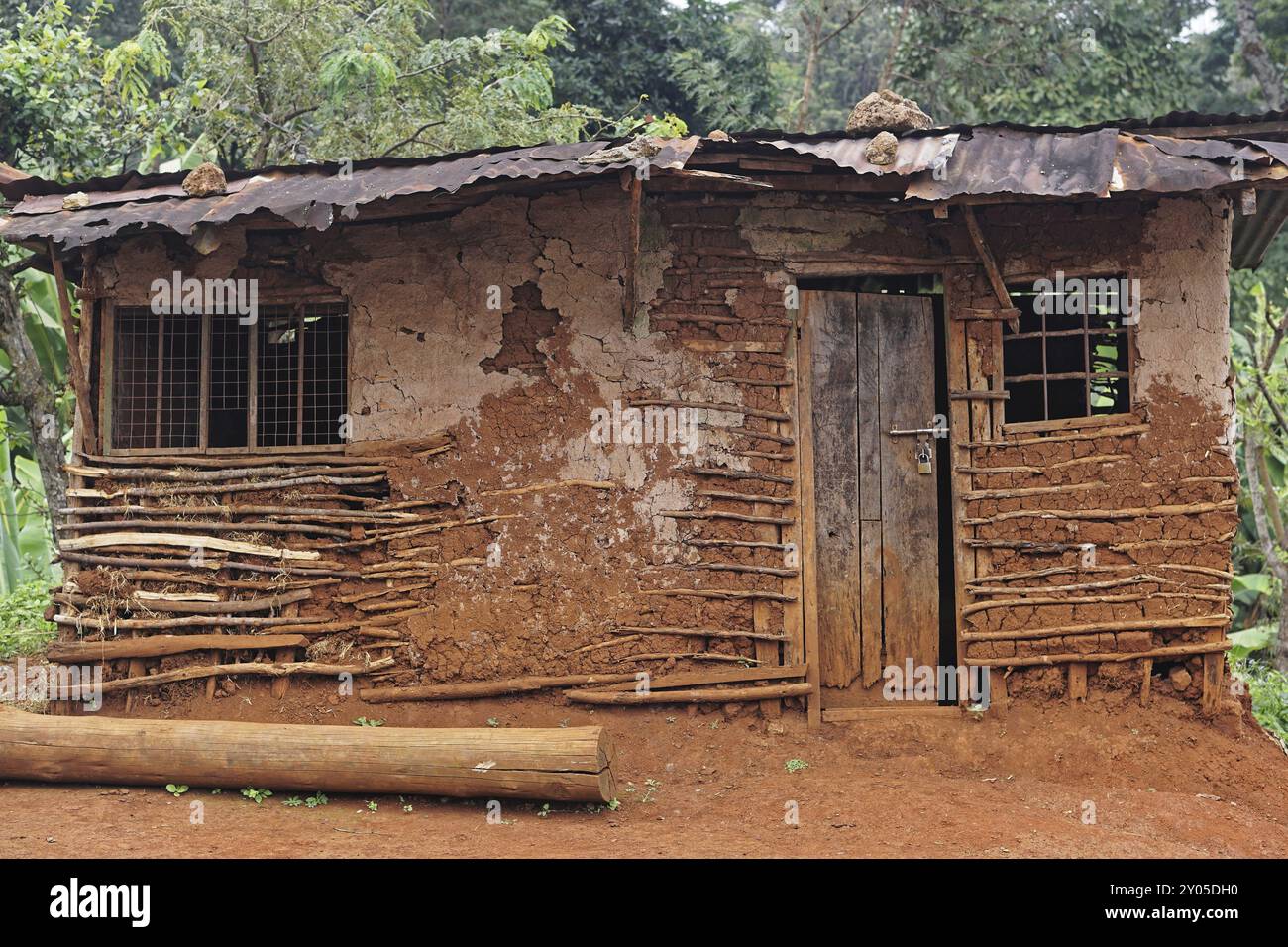 Building cabin construction deserted empty home house hut nature nobody ...