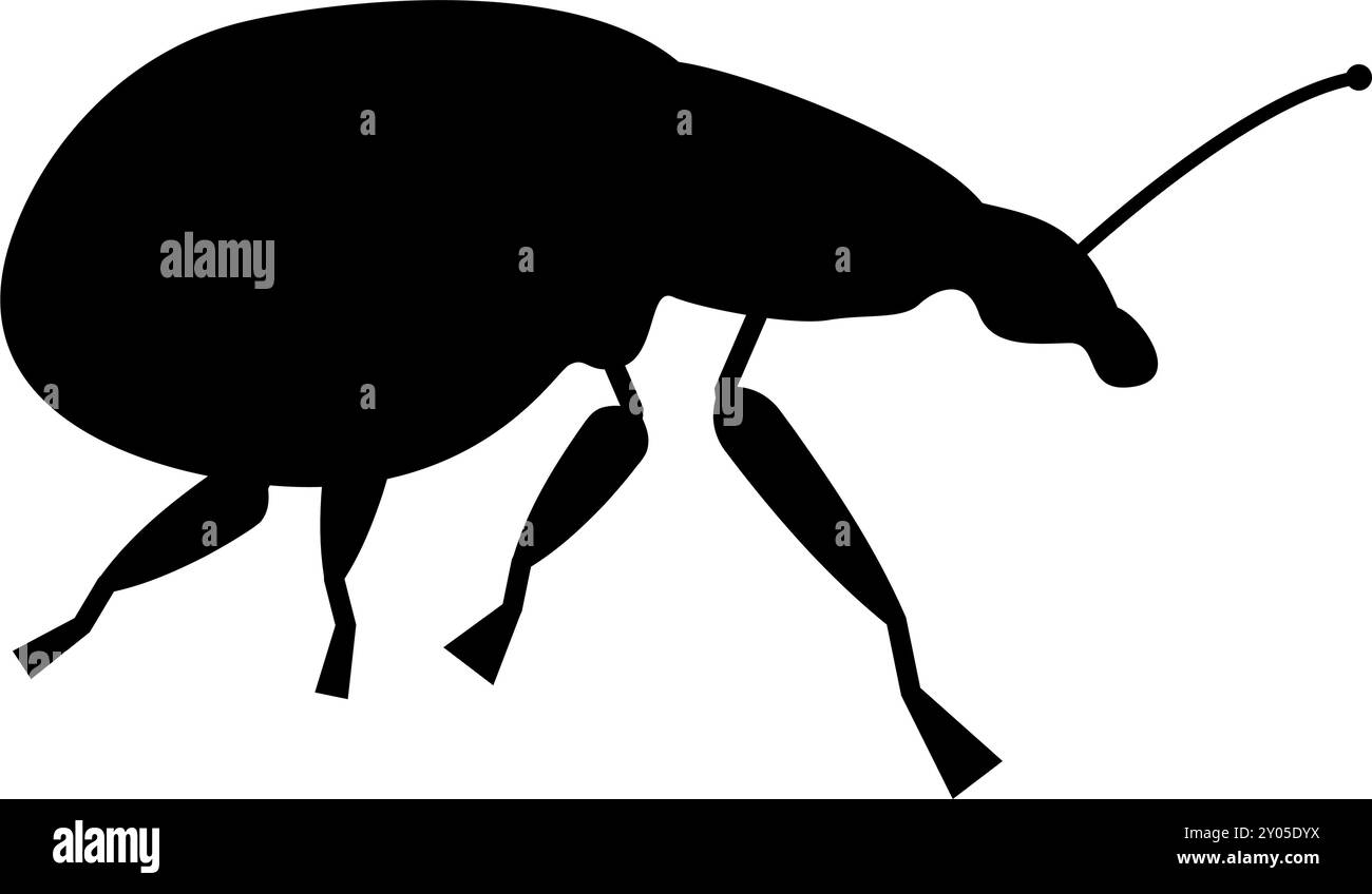 Grain wheat bug Stock Vector Images - Alamy