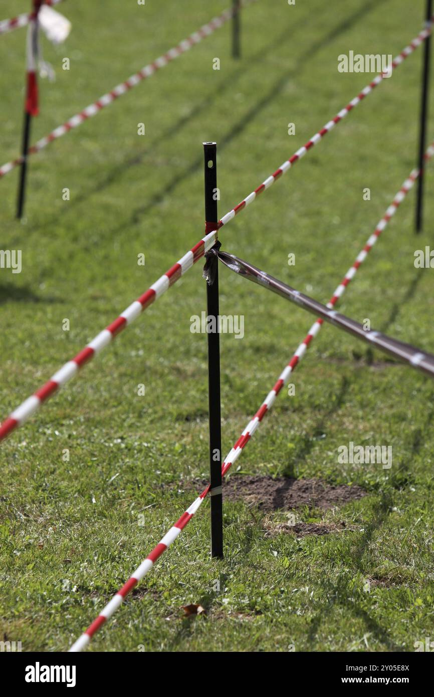 Dog going place hi-res stock photography and images - Alamy