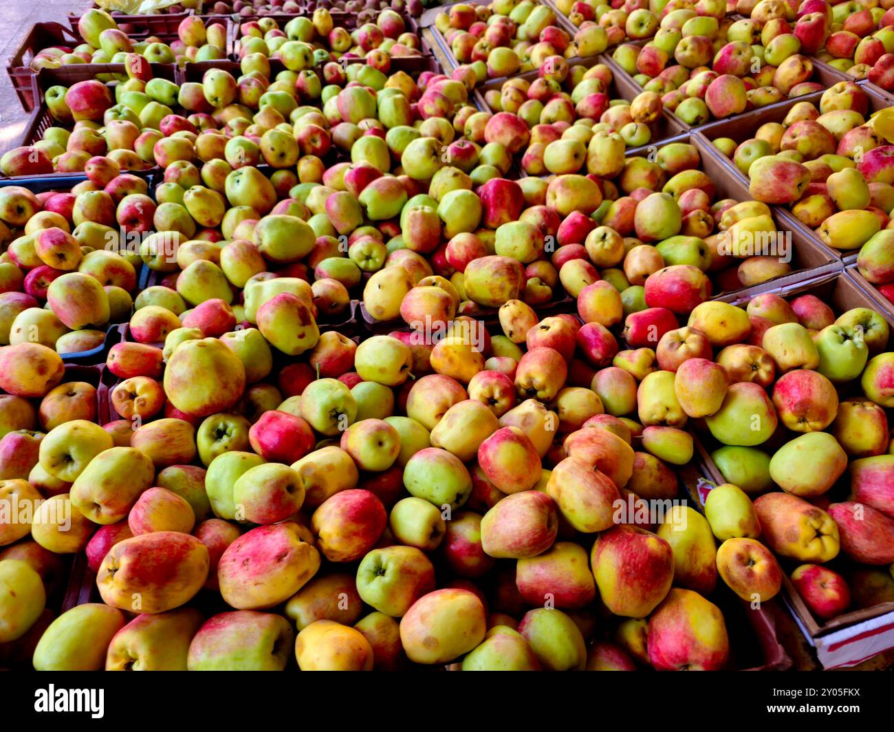 stacks of Egyptian fresh Apples, An apple is a round, edible fruit ...