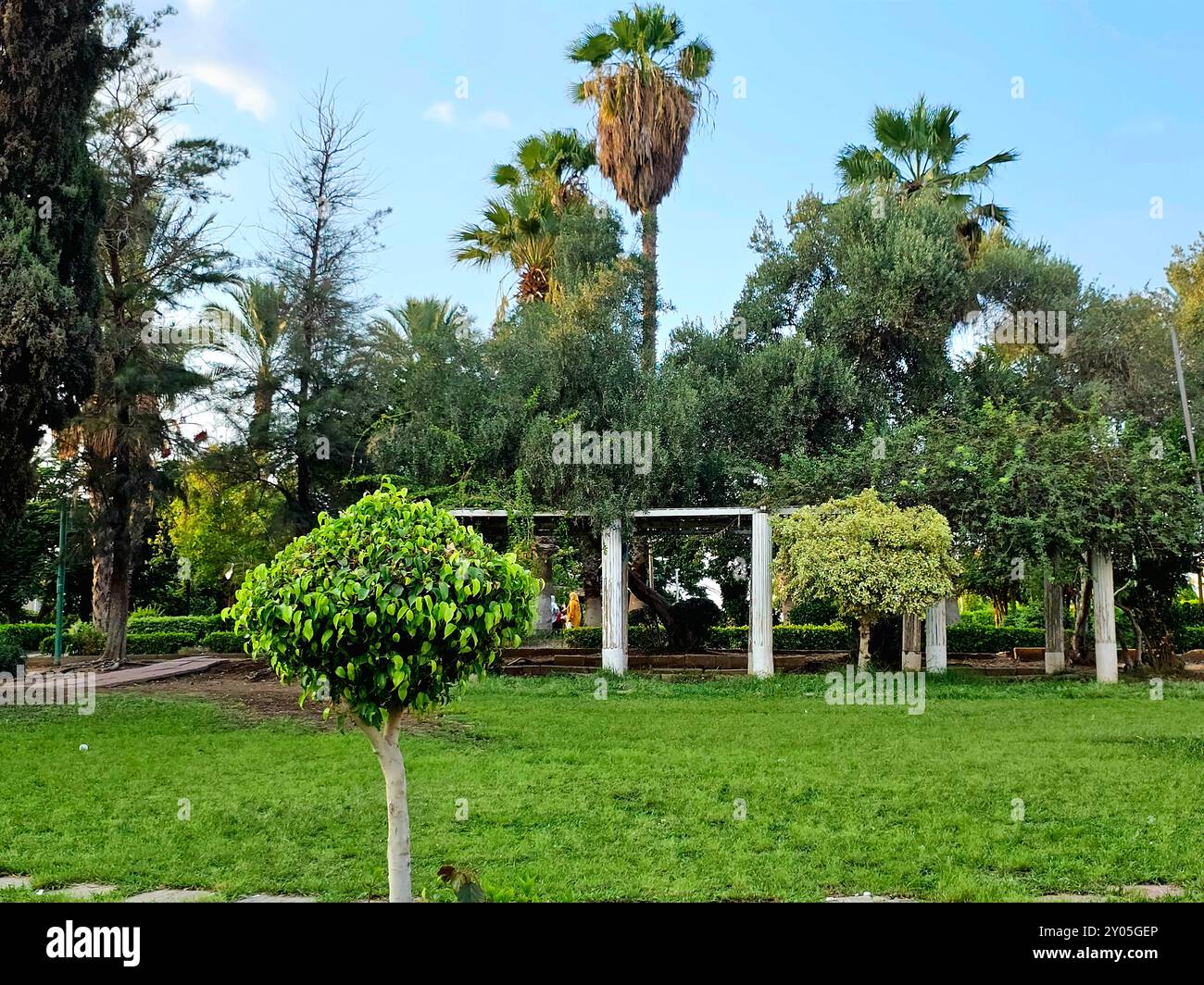 Cairo, Egypt, July 27 2024: The international garden, a public park in ...