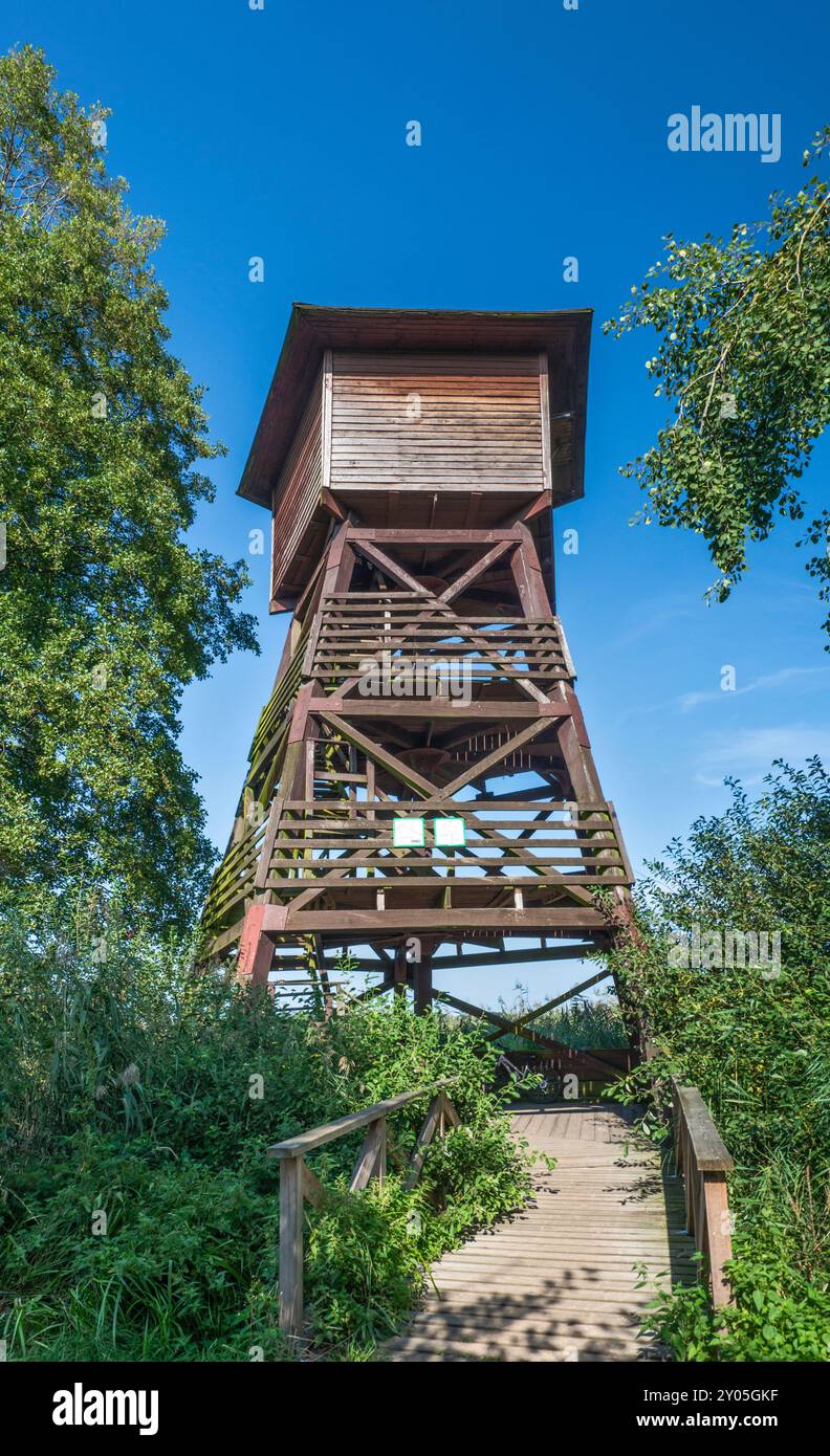 Staw grabownica hi-res stock photography and images - Alamy