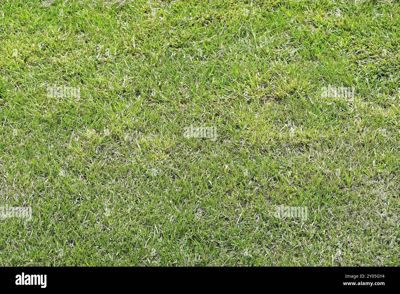 Field texture hi-res stock photography and images - Alamy