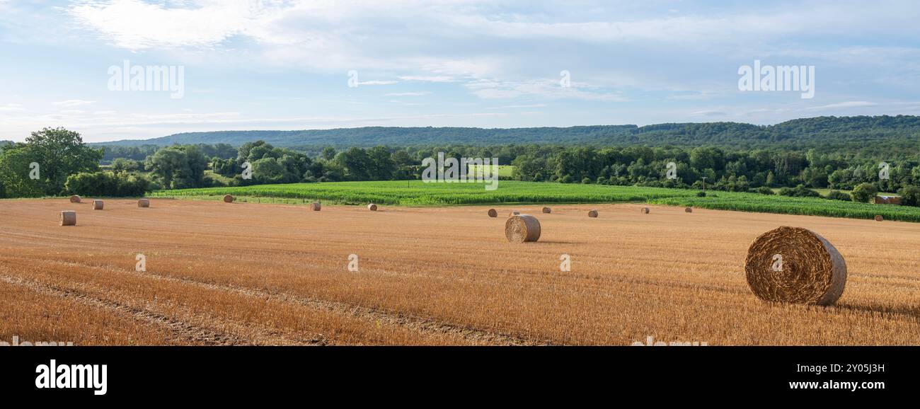 field with straw bales in rural countryside between french towns of st ...