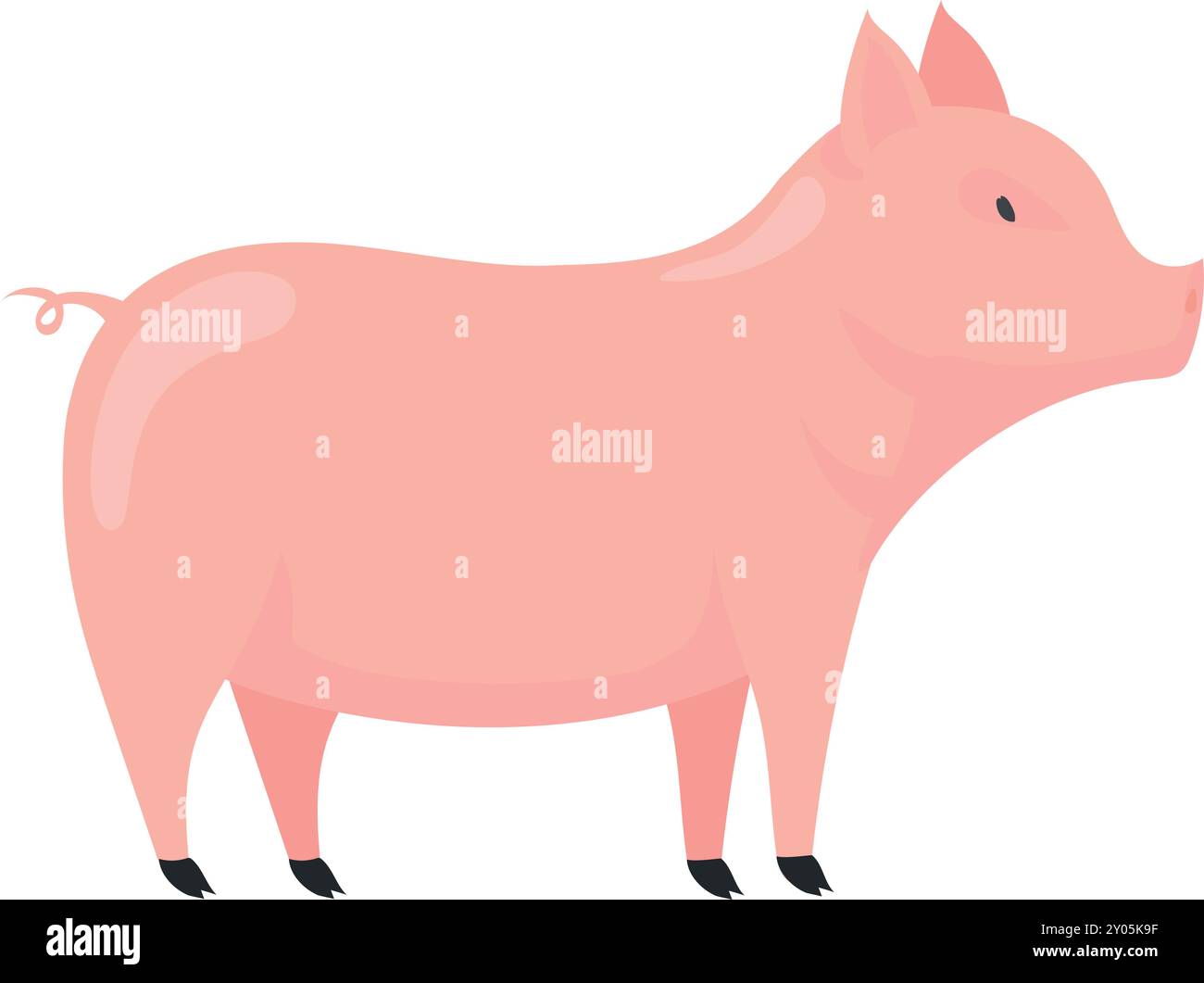 Pig color icon. Farm animal. Livestock symbol isolated on white ...