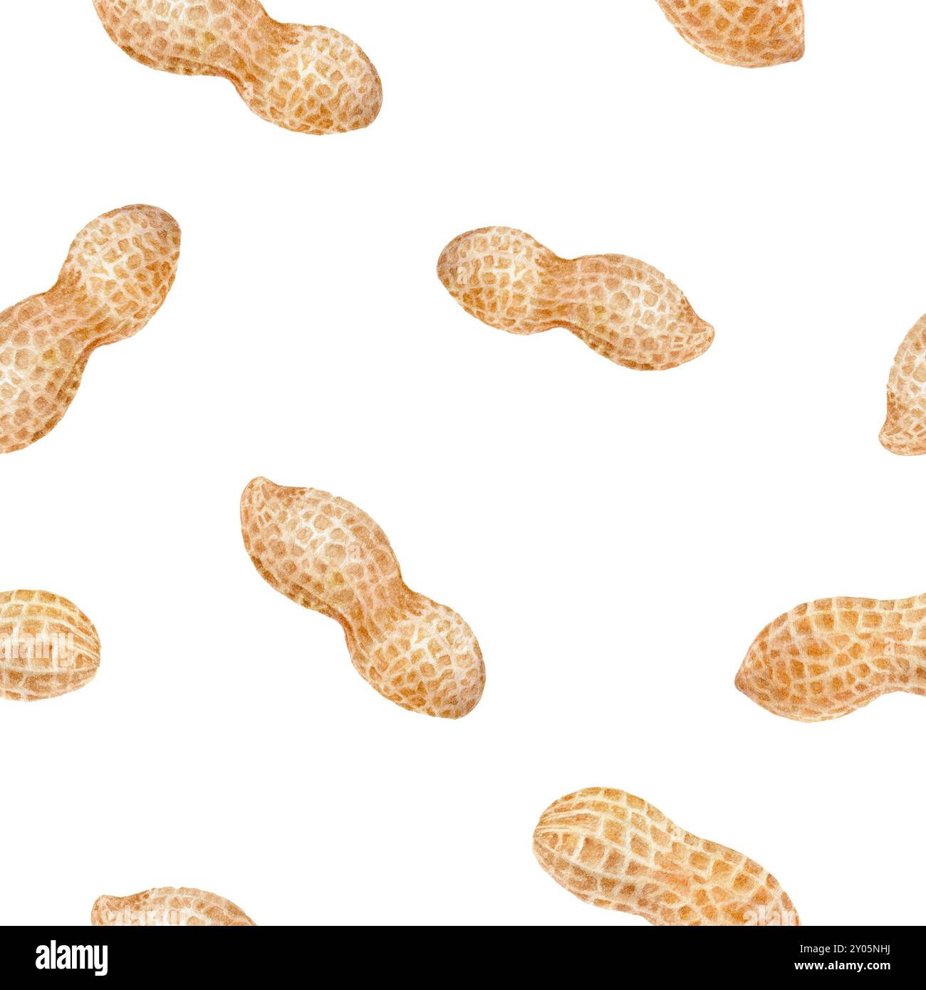 Peanut Seamless Pattern Watercolor Illustration Depicted on a Crisp ...