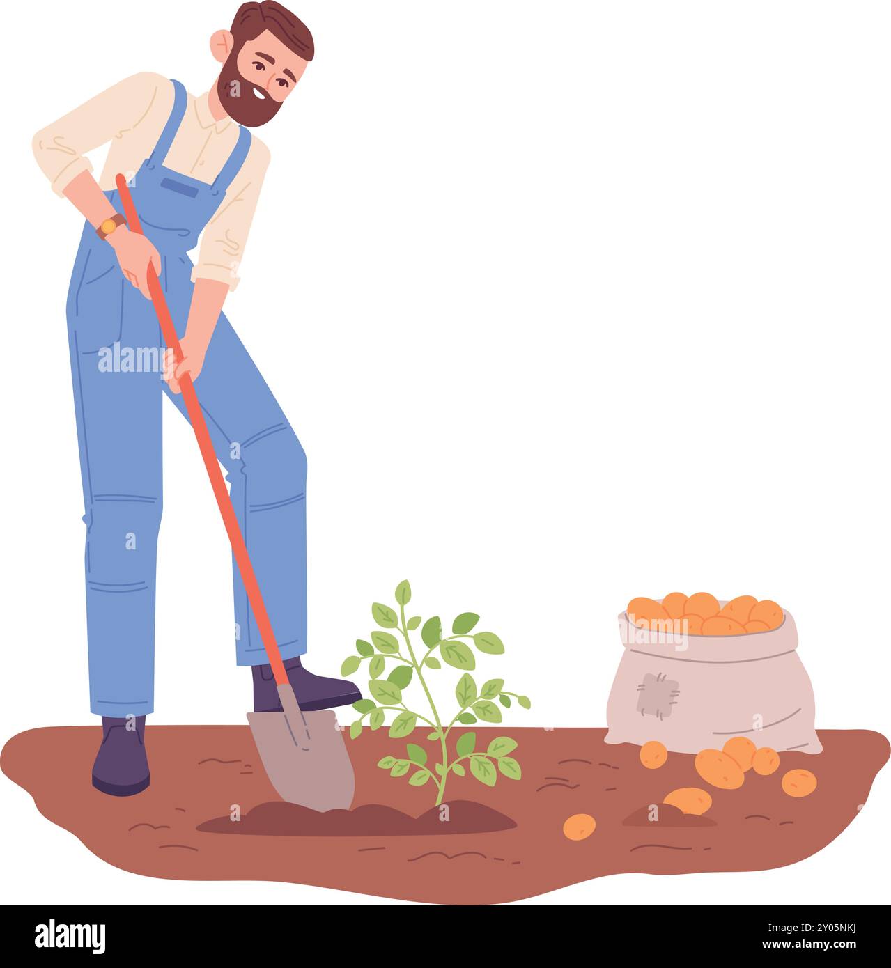 Man digging potato from ground. Farmer harvest vegetables isolated on ...