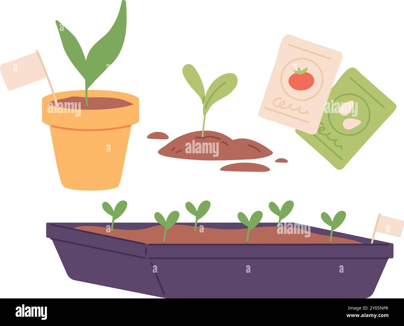 Seedling grow process from seed to sprout color icon isolated on white ...