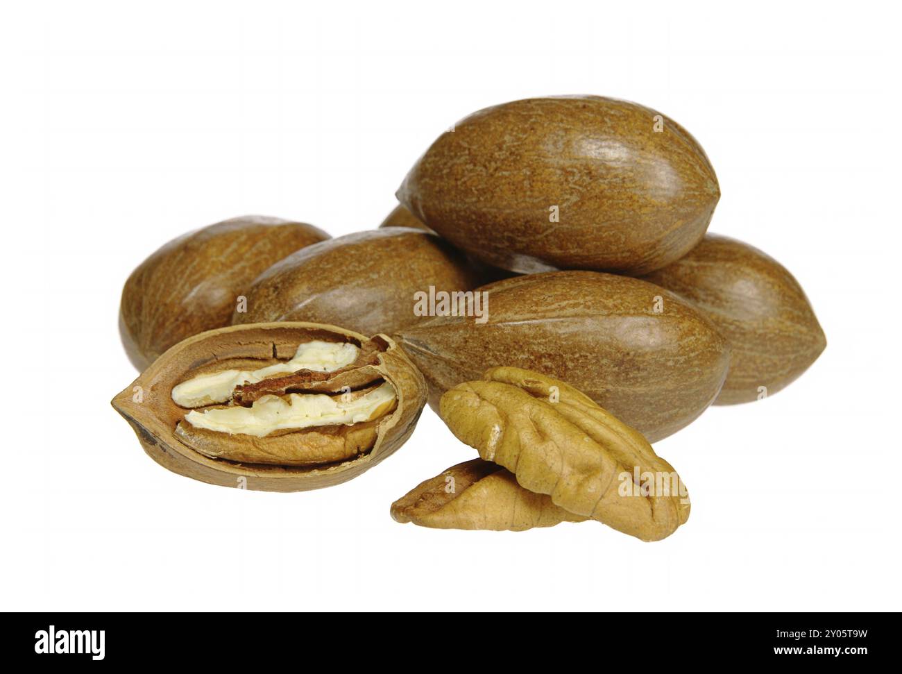 Pecan, pecan 04 Stock Photo - Alamy