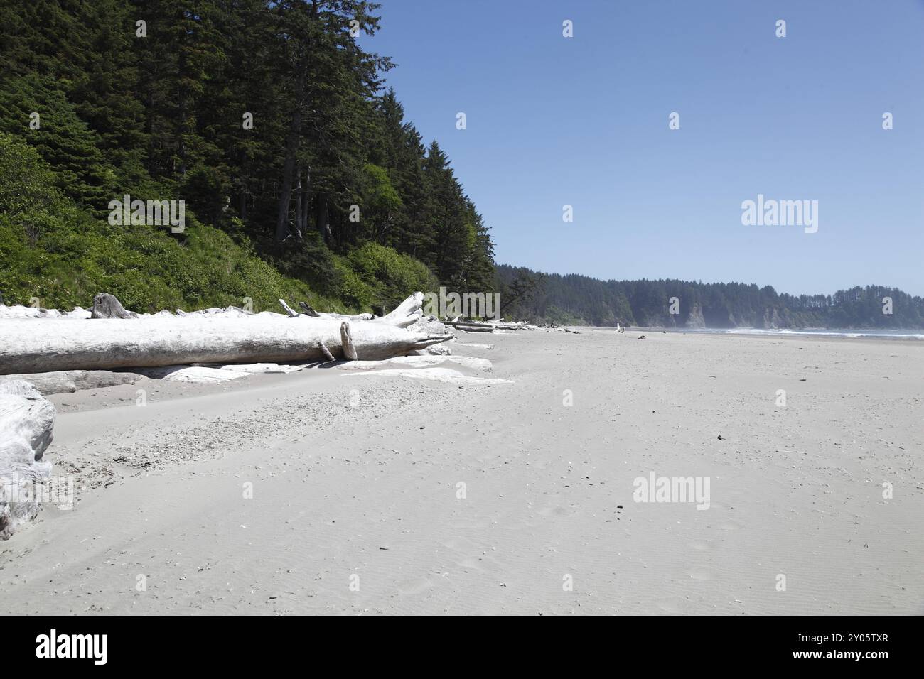 Second beach, Olympic National Park Stock Photo - Alamy