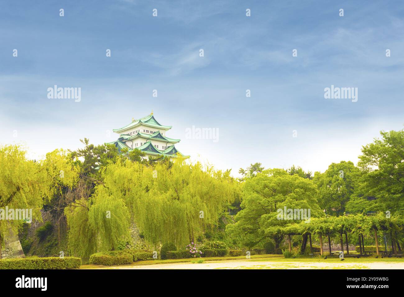 A beautiful blue sky day above Nagoya Castle stronghold over a green ...