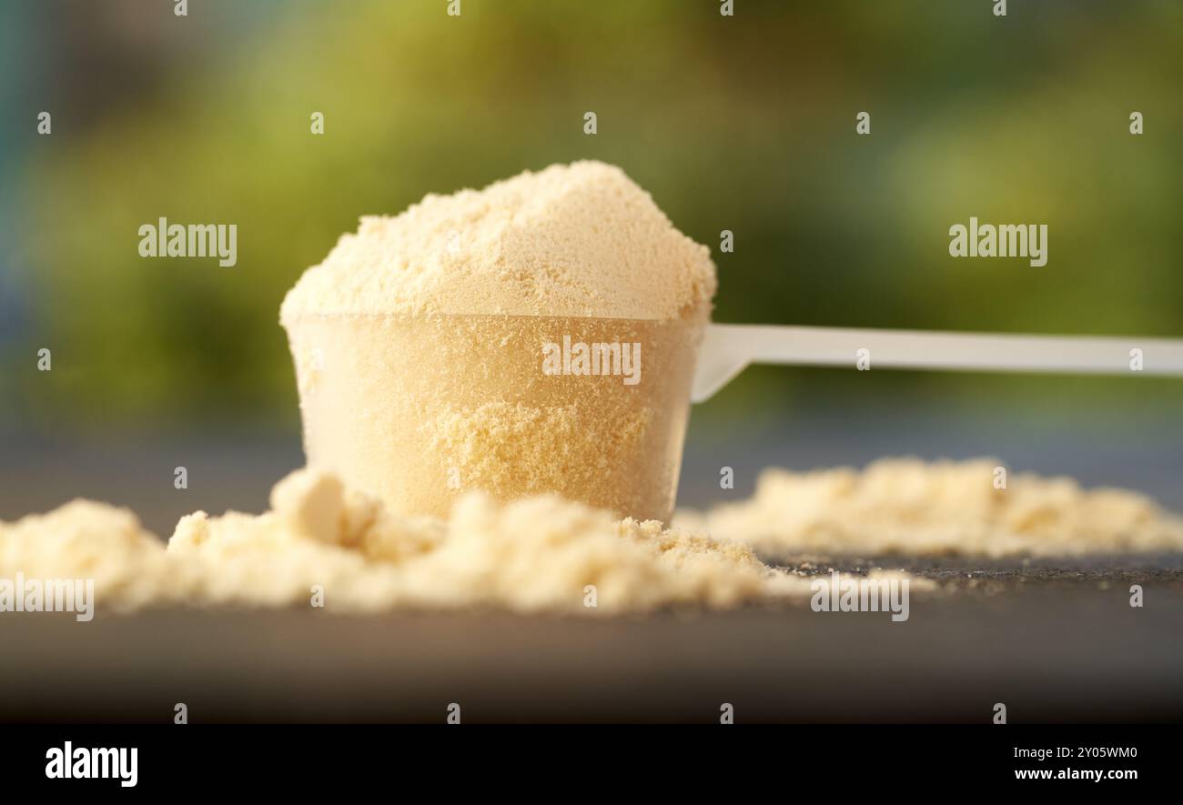 Whey protein powder in a measuring cup outdoors Stock Photo - Alamy