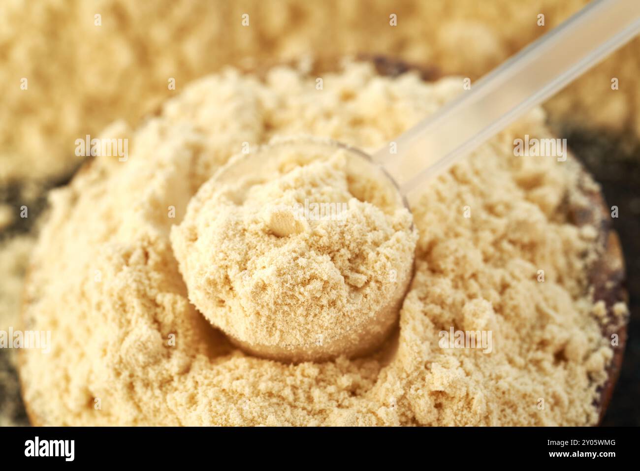 Vanilla flavored whey protein powder in a plastic measuring cup, close ...