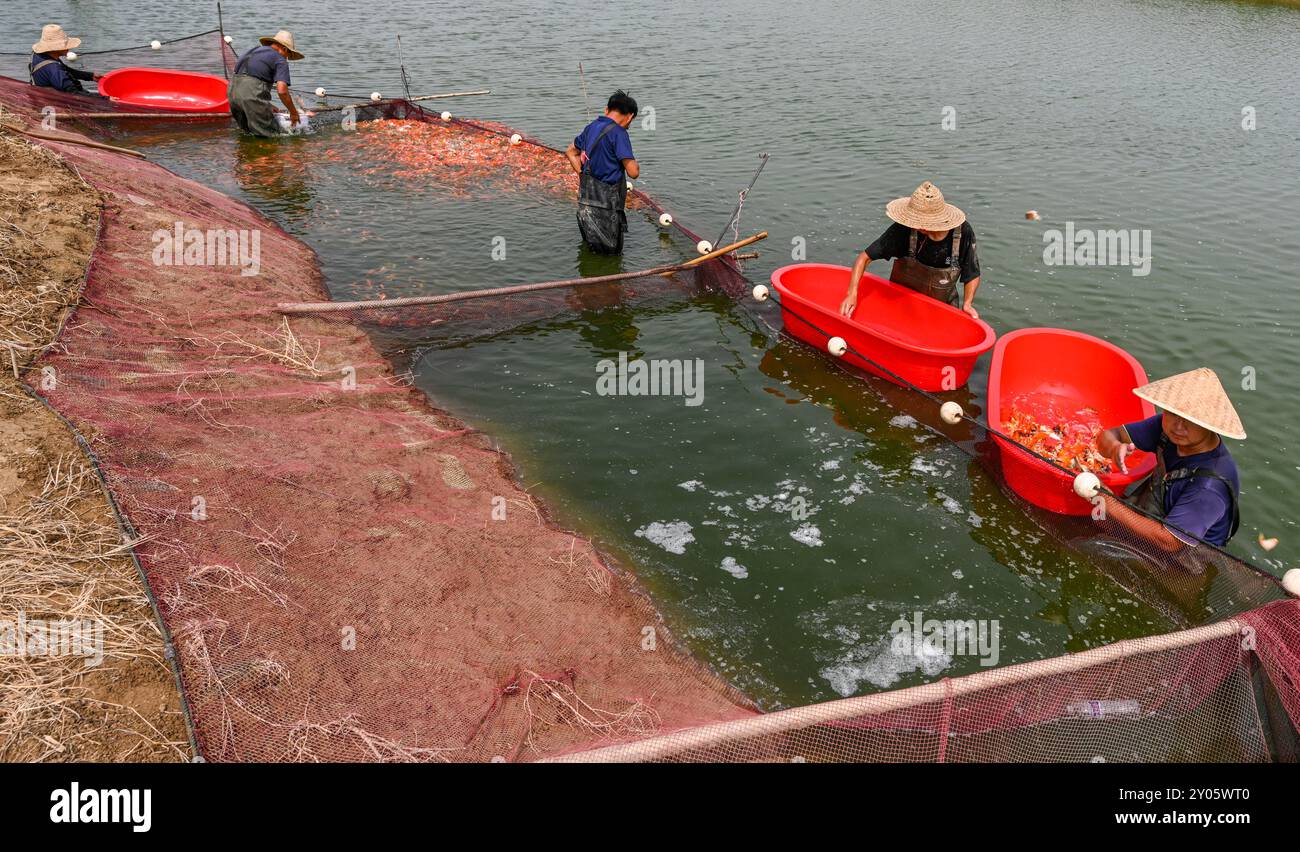 Yongji, China. 01st Sep, 2024. YONGJI, CHINA - SEPTEMBER 1, 2024 ...