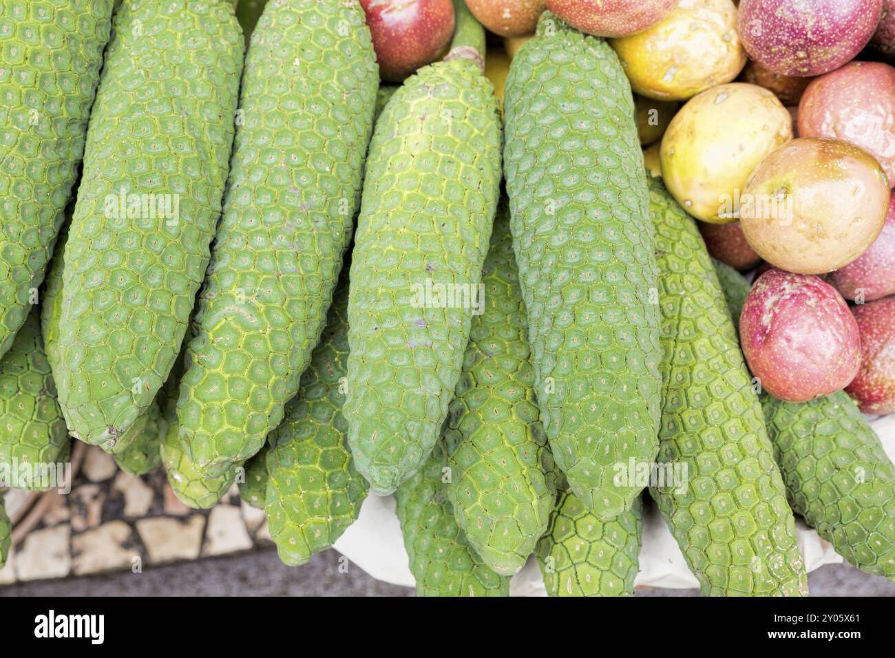 Anona hi-res stock photography and images - Alamy