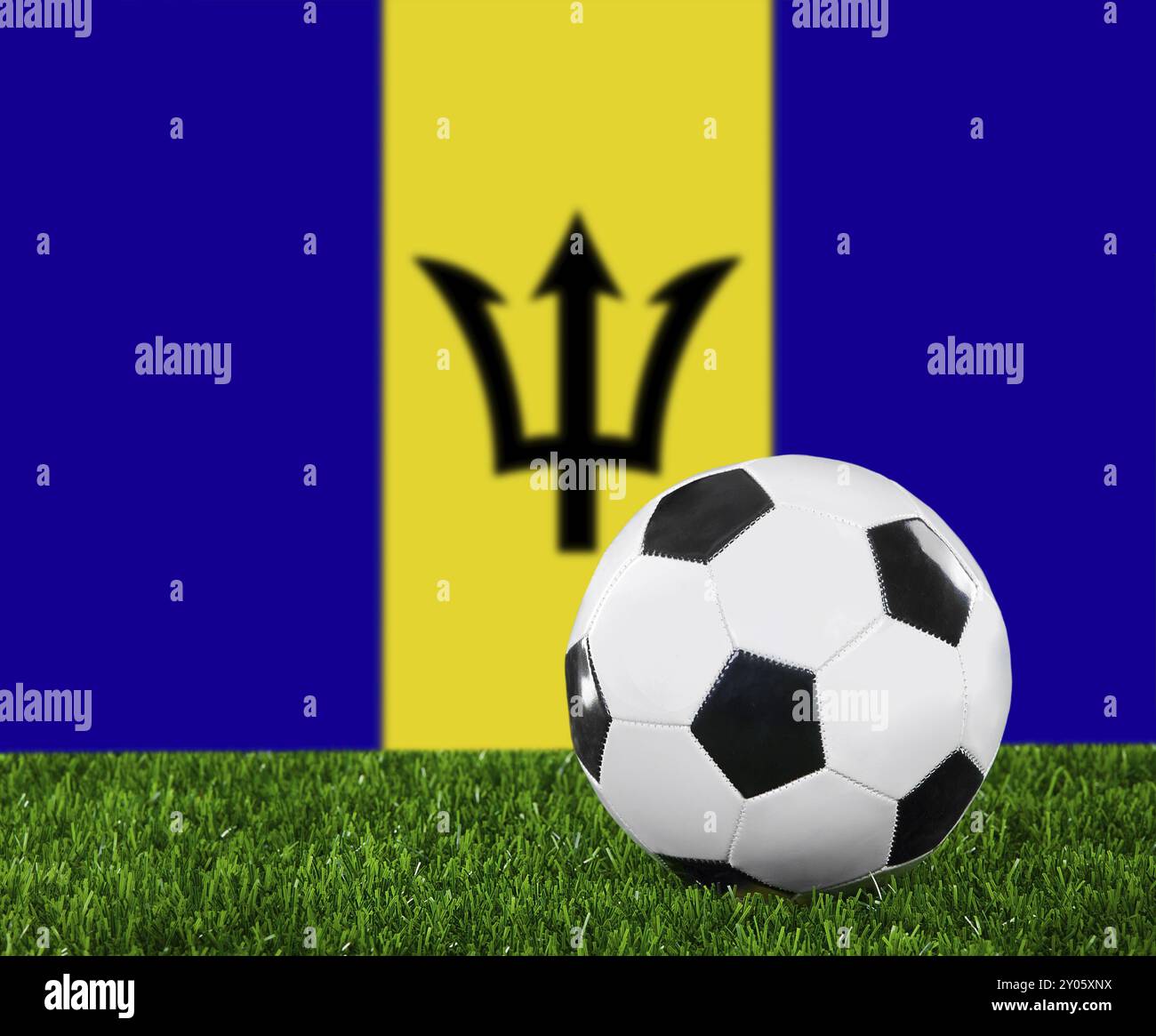 The Barbados flag and soccer ball on the green grass Stock Photo - Alamy