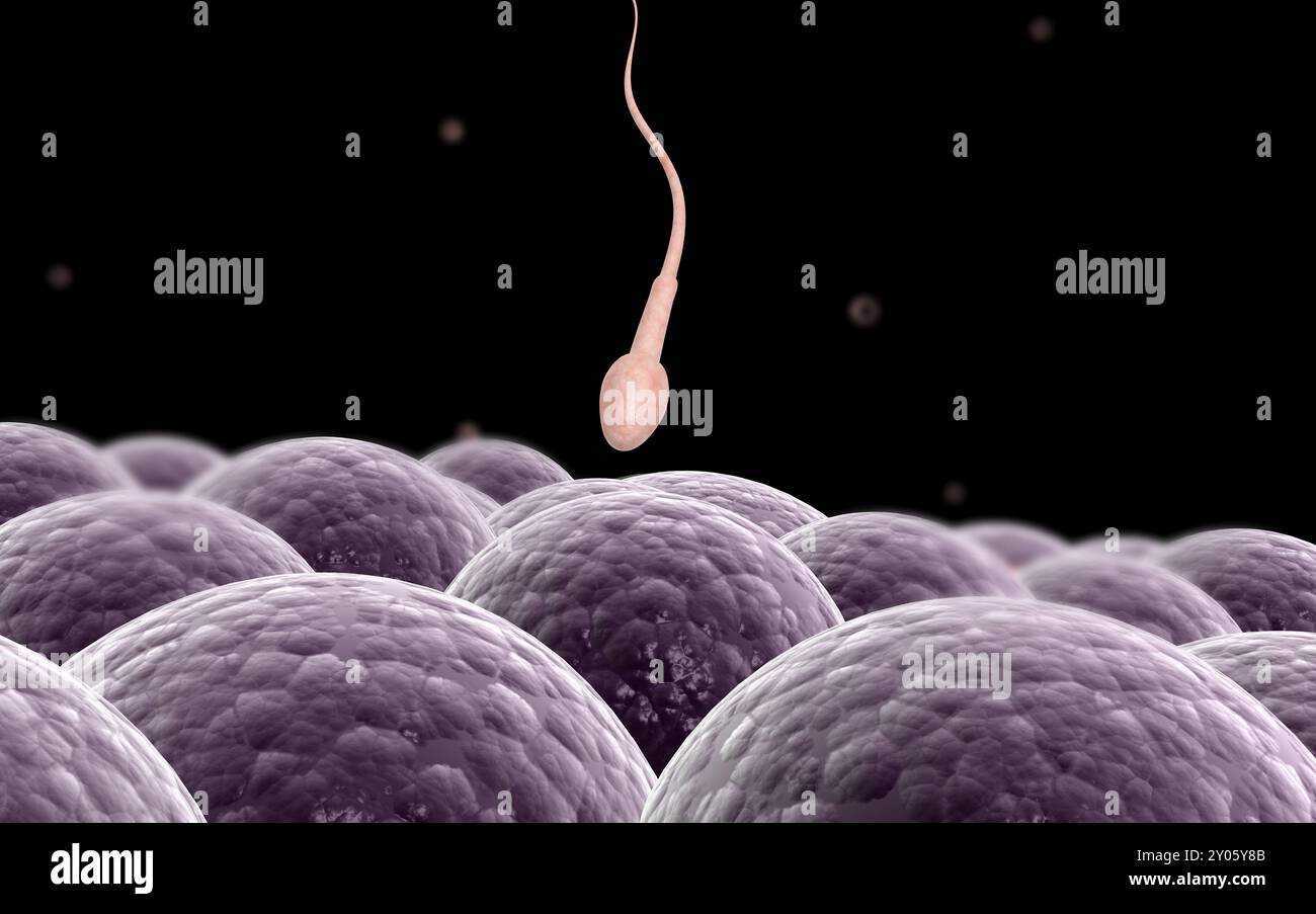 Conceptual image of fertilization Stock Photo - Alamy