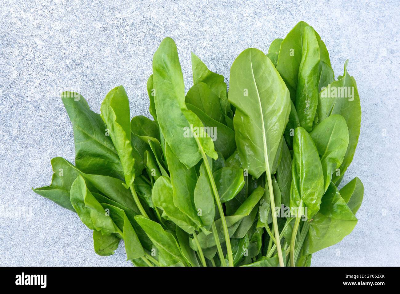 Raw sorrel leaves top hi-res stock photography and images - Alamy