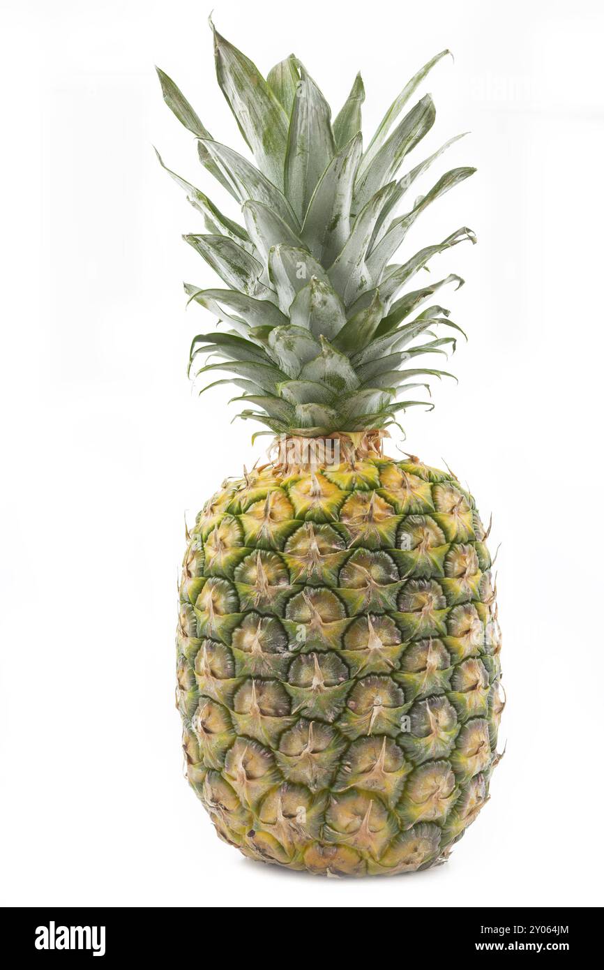 Pineapple fruit ananas sativus Cut Out Stock Images & Pictures - Alamy
