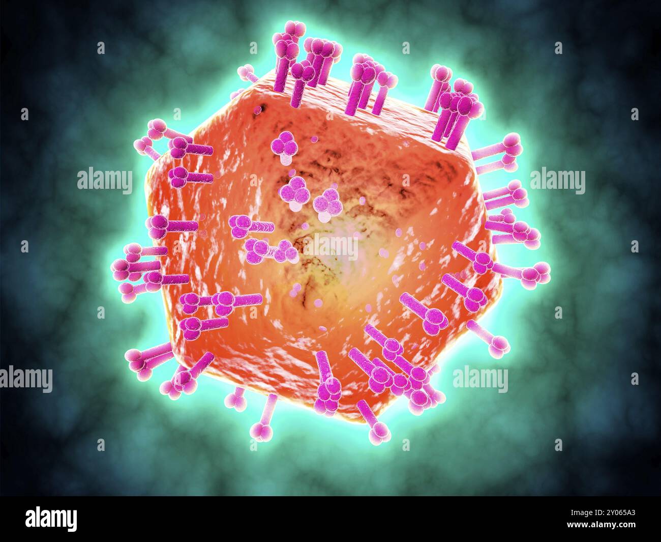 Human immunodeficiency virus hi-res stock photography and images - Alamy