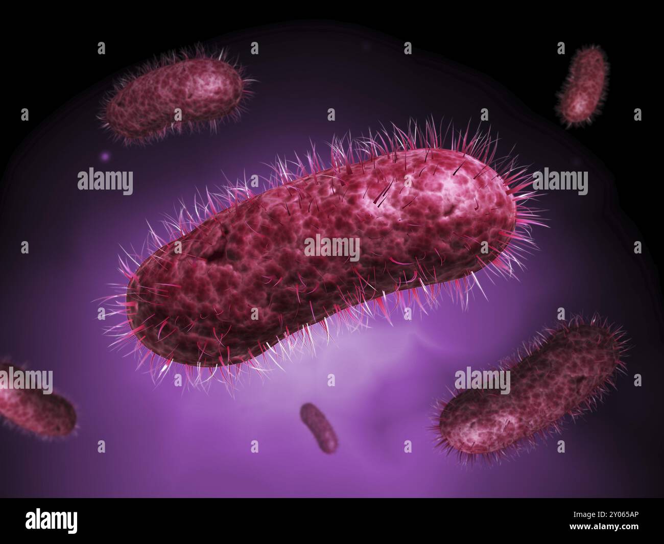 Anatomical overview hi-res stock photography and images - Alamy