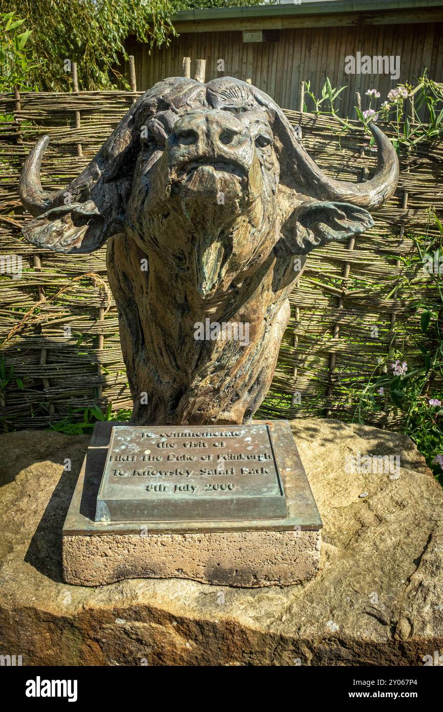 Knowsley safari hi-res stock photography and images - Alamy