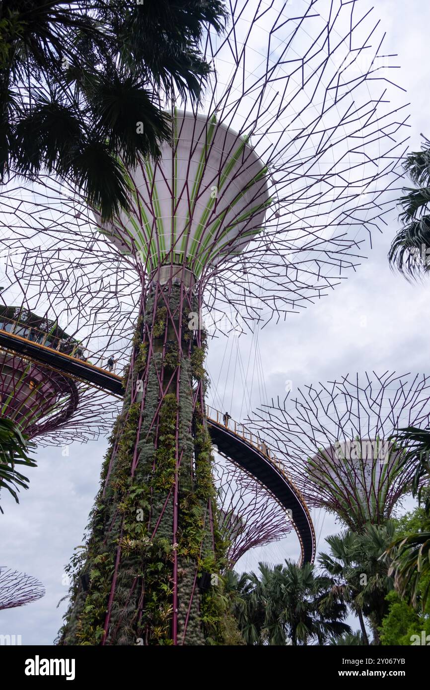 Singapore - 9 March 2024: Supertree Grove in Garden By the Bay ...